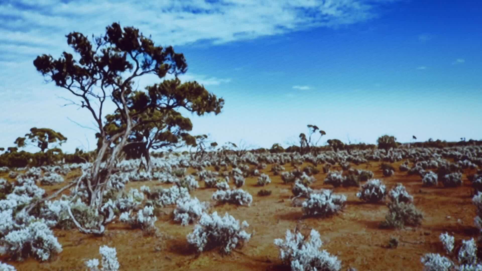 Cúla4 ar Scoil (3) | Player | Irish Television Channel, Súil Eile