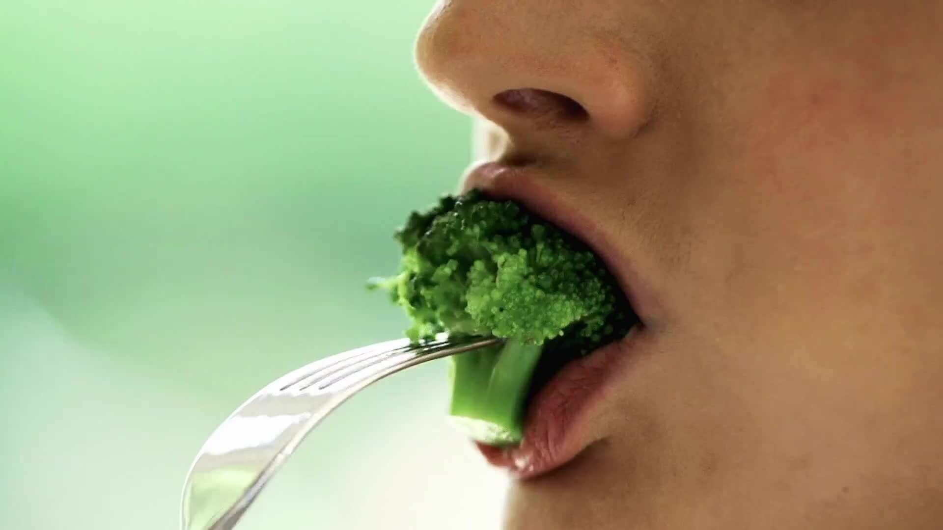 Animal Fanpedia (1) | Player | Irish Television Channel, Súil Eile