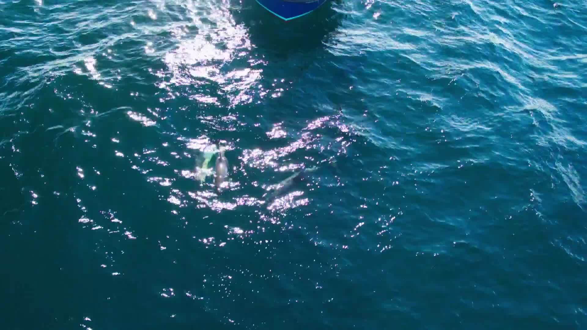 Inis na nIontas (1) | Player | Irish Television Channel, Súil Eile