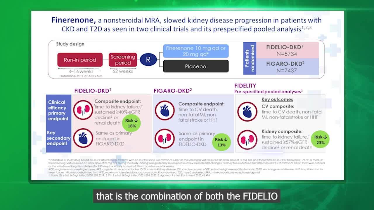 Current and Upcoming Treatment Options in CKD Management