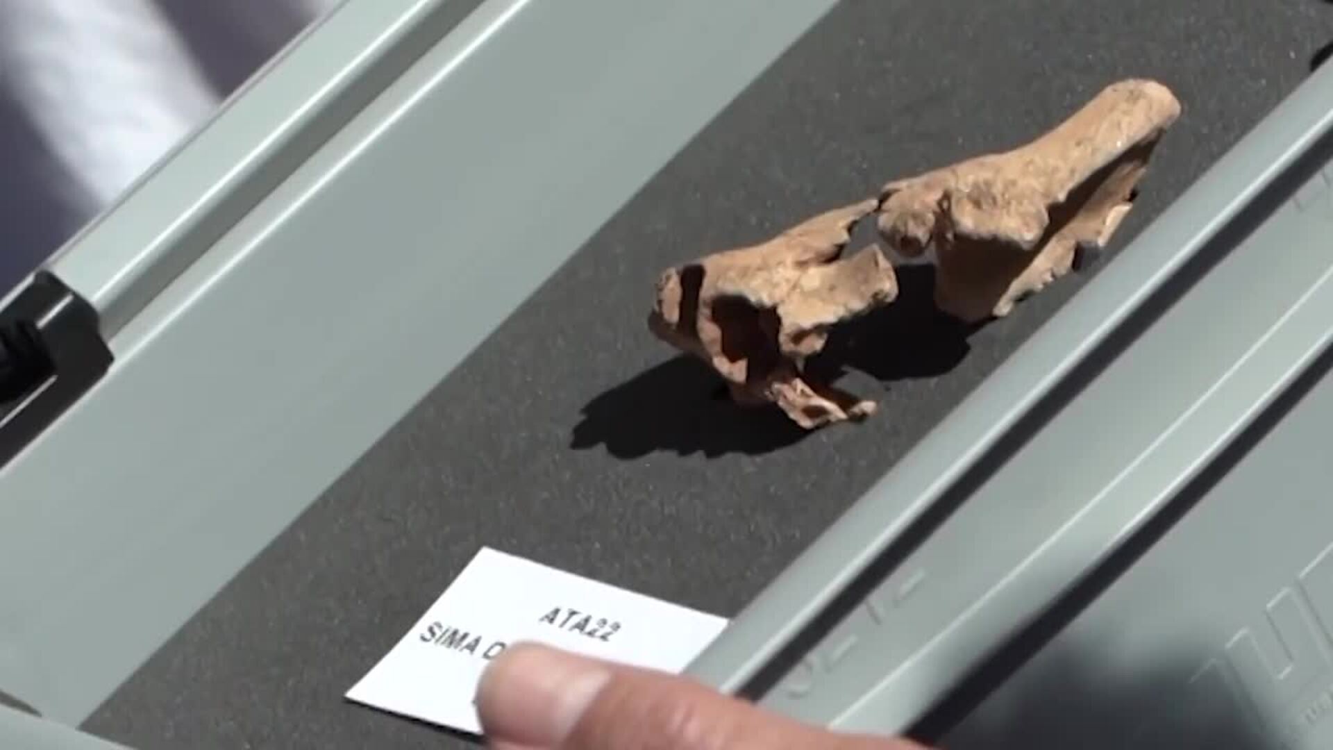 La NASA alerta sobre un asteroide que amenaza con destruir la Tierra en ...