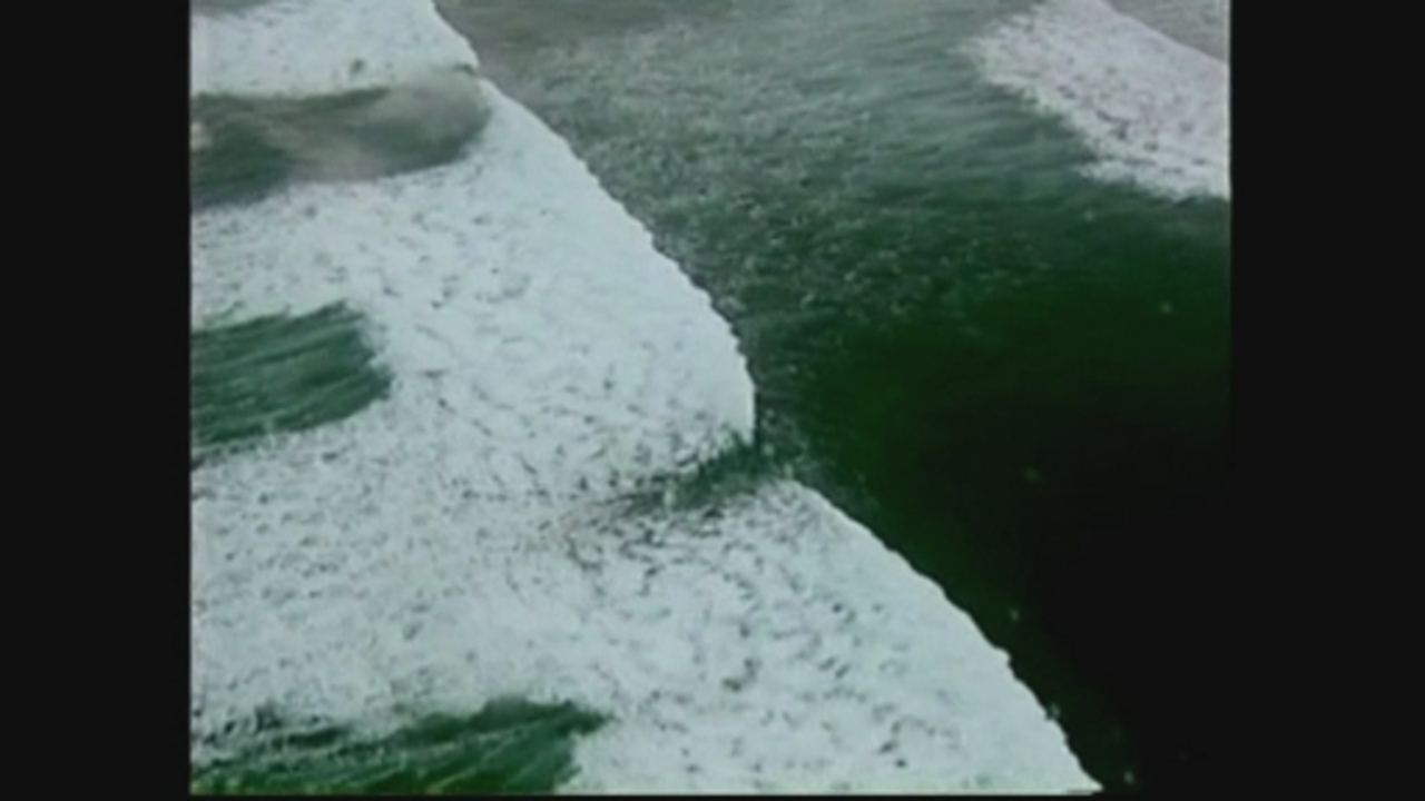 Frozen Tsunami Wave