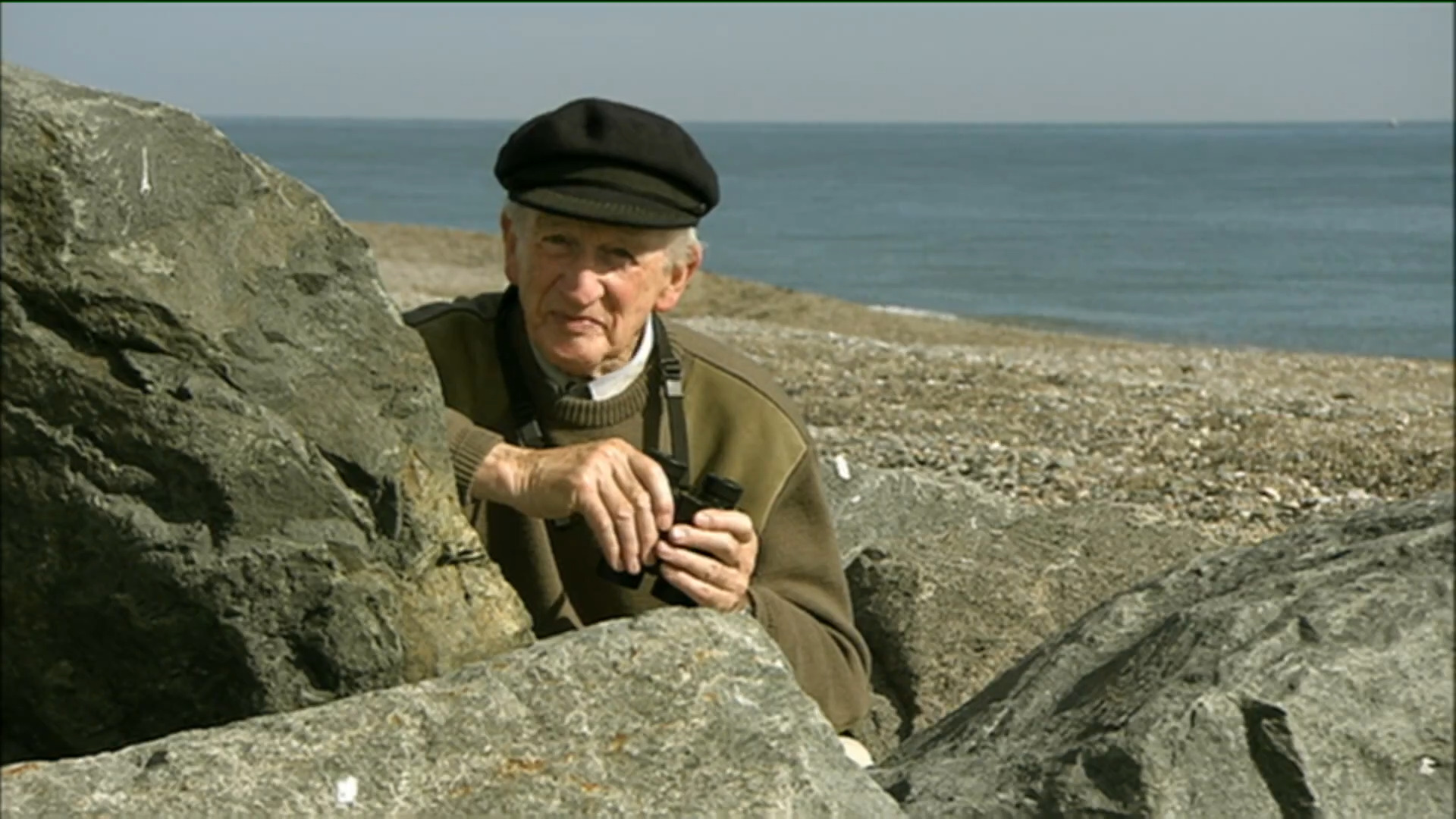 Ainmhithe Corr Fíor