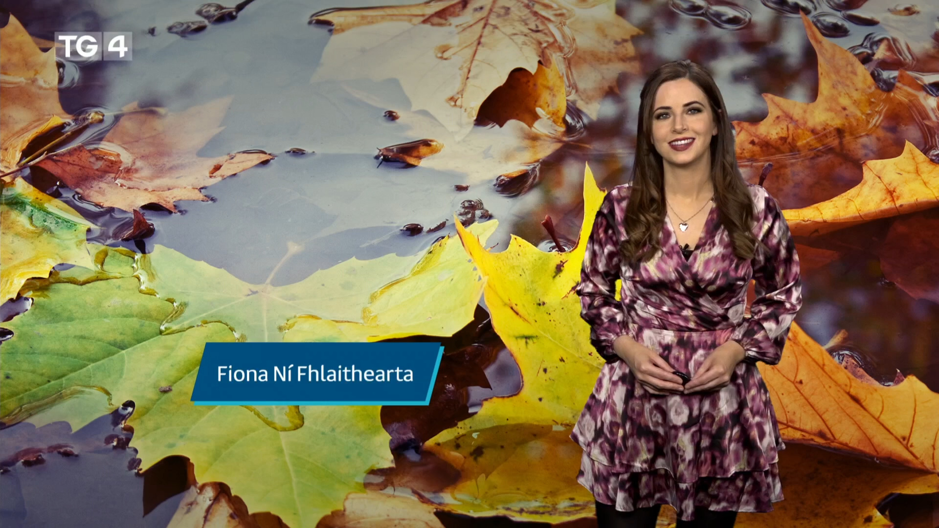 An Aimsir Láithreach - An Aimsir Láithreach | Player | Irish Television Channel, Súil Eile