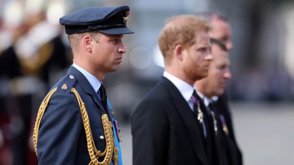 Harry accuse son frère. «Il m'a attrapé par le col et m'a fait tomber par terre» | blue News