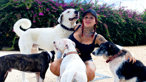 Aviva Rocks, Pornostar und Tieraktivistin. «Hündin Nevada kam mit ihren ...