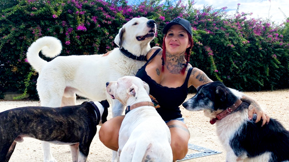 Aviva Rocks, Pornostar und Tieraktivistin. «Hündin Nevada kam mit ihren ...