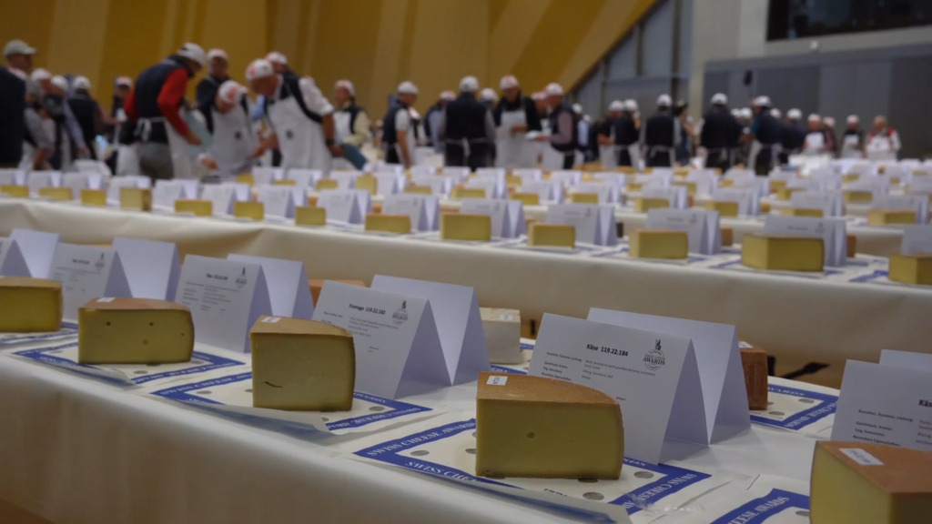 «Swiss Cheese Awards». Plus de mille fromages dégustés à Val de Bagnes.
