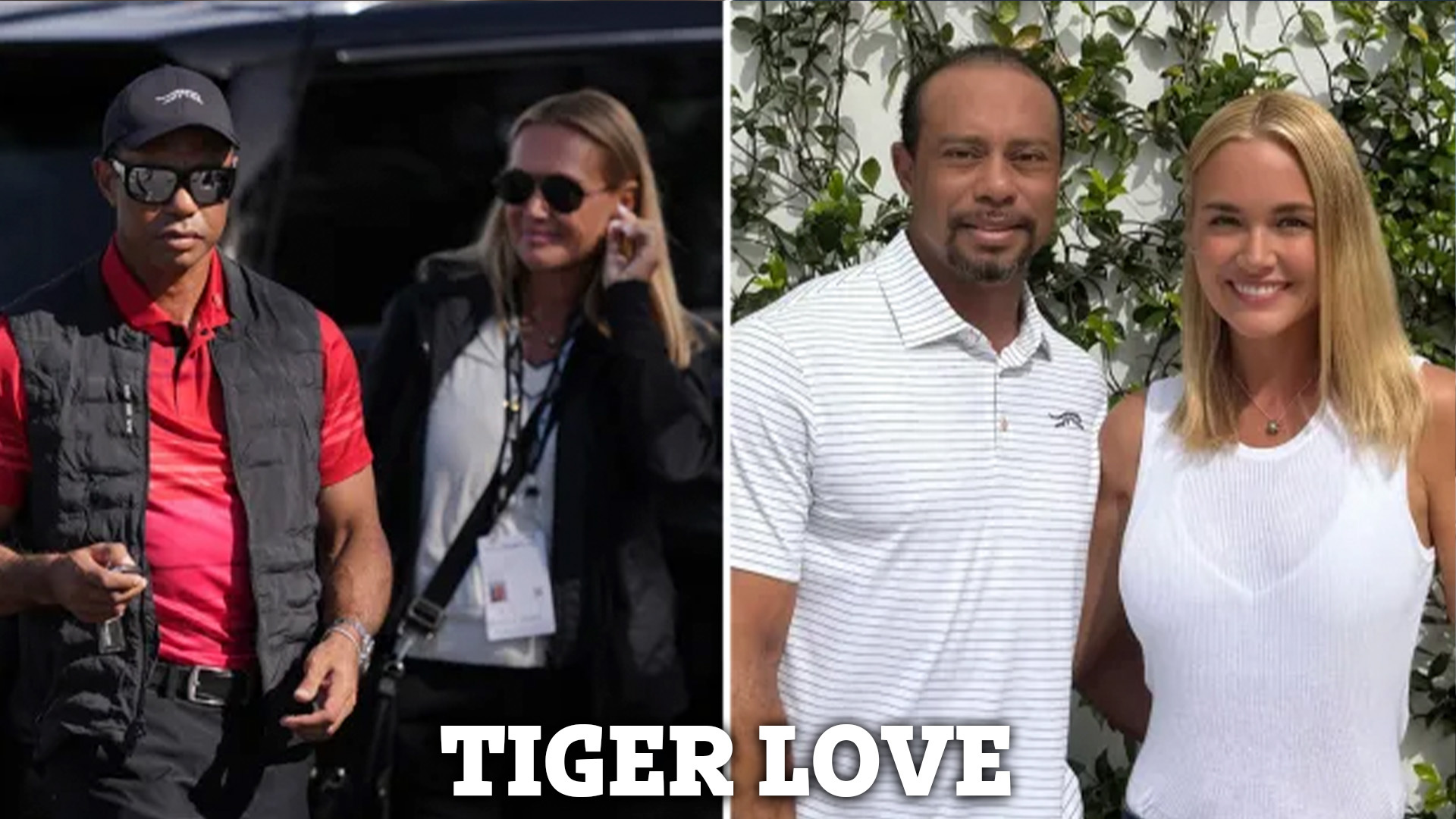Tiger Brady Haufen