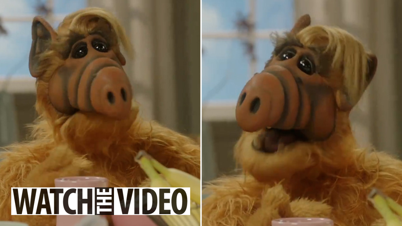 Uncle Alf Tv Show
