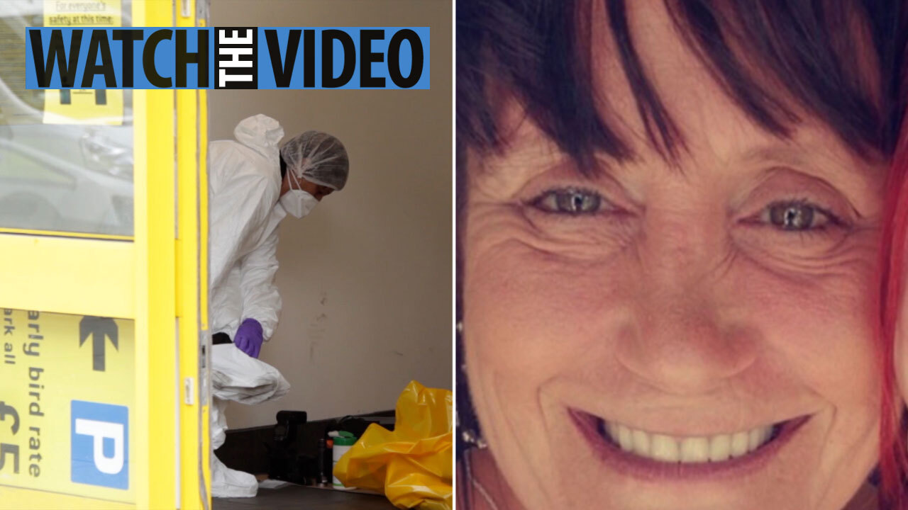 Maureen Steele's Instagram, Twitter & Facebook on IDCrawl