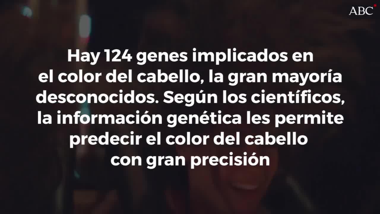 La genética, clave en el color del pelo