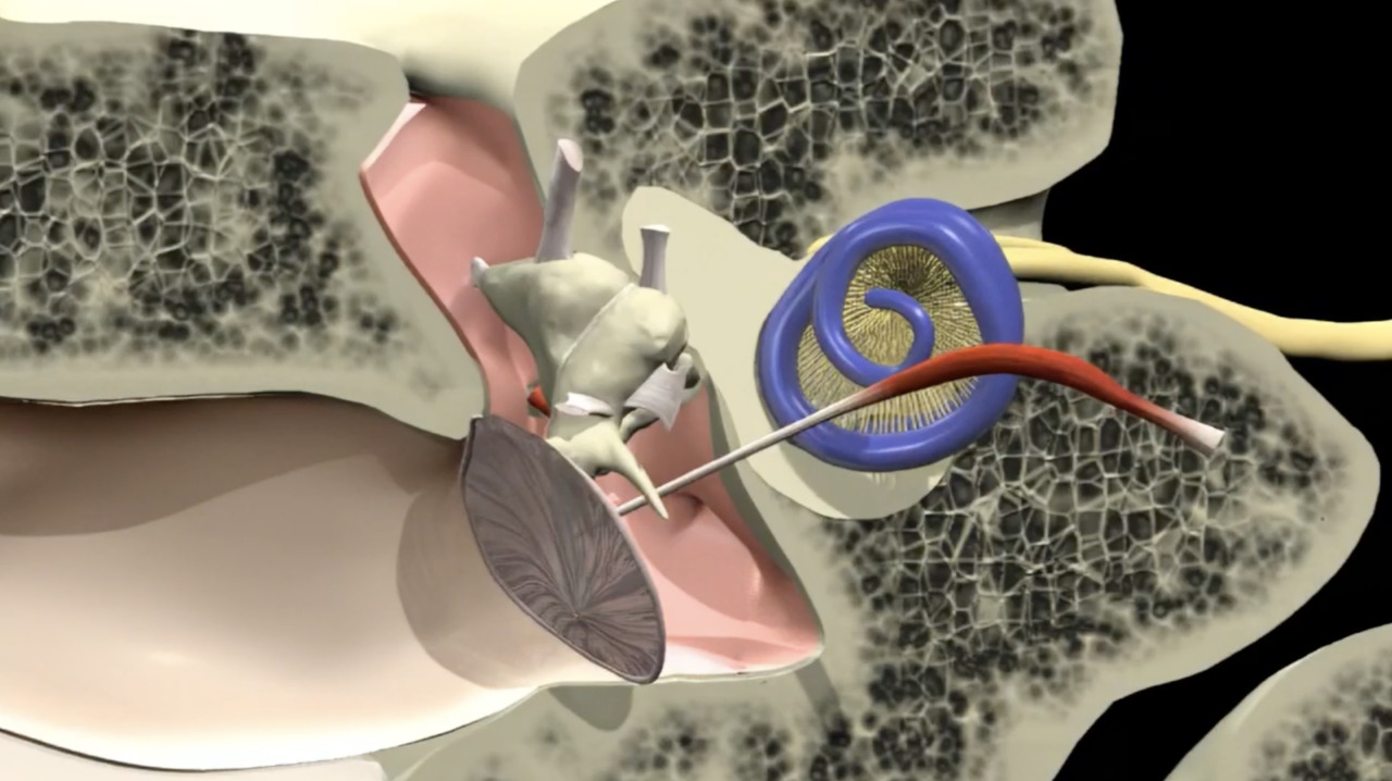 White Drainage From Ear